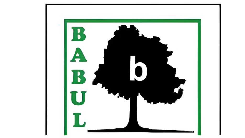 Babul Films Society - hellohyderabad.org